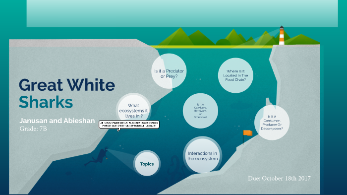 Shark Science Project by BALLER 3 on Prezi