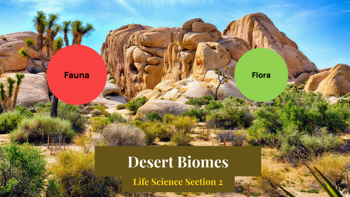 LS2- Desert Biomes by Donnie Howell on Prezi
