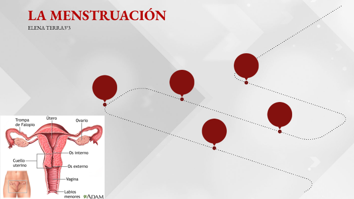 LA MENSTRUACIÓN by ele terra on Prezi