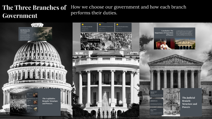 Understanding the Three Branches of Government and Their Powers by ...