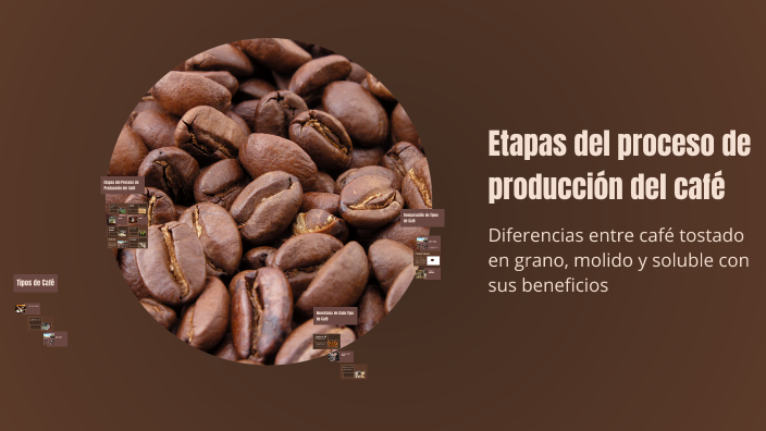 Etapas del proceso de producción del café by gilmo fundes on Prezi