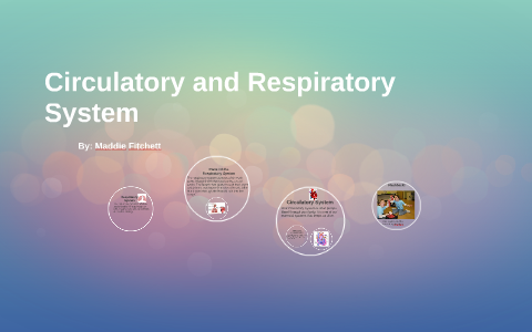 Circulatory and Respiratory System by Madeline Fitchett on Prezi