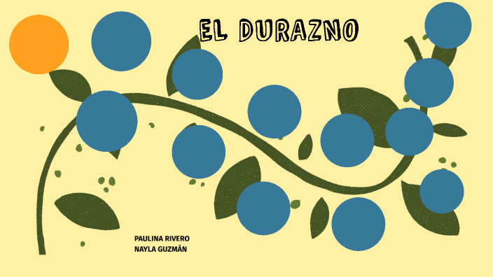 circuito productivo del durazno by sofia diaz on Prezi