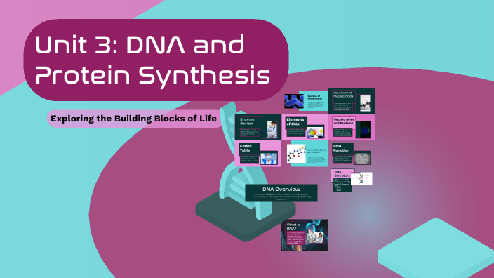 Unit 3: DNA and Protein Synthesis by Jordan Talopau on Prezi