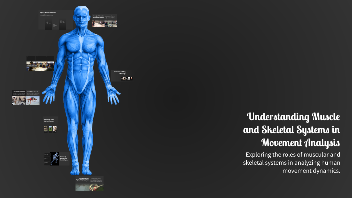 Understanding Muscle and Skeletal Systems in Movement Analysis by ...