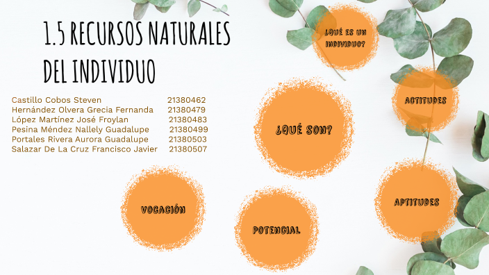 Recursos naturales del individuo by Nallely Pesina on Prezi