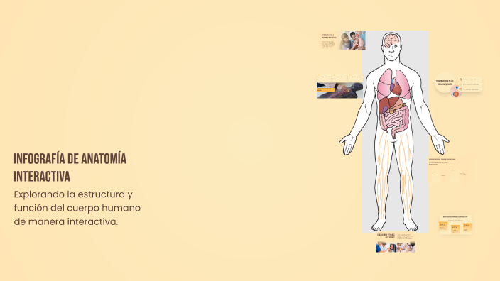 Infografía de Anatomía Interactiva by Gabriela Santander on Prezi