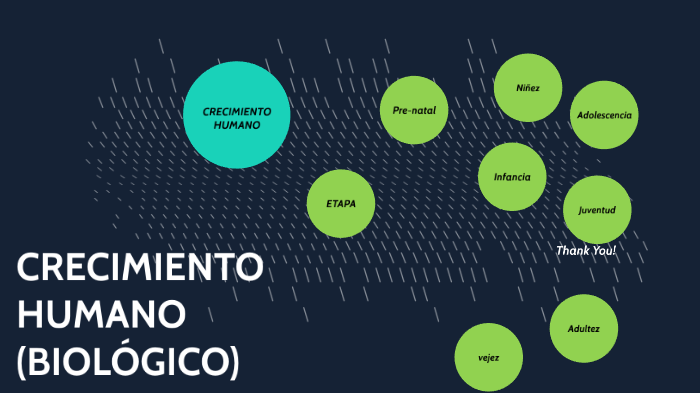 CRECIMIENTO HUMANO ( BIOLÓGICO) by Alfredo Xicotencatl on Prezi