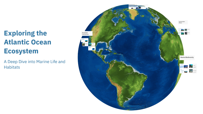 Exploring the Atlantic Ocean Ecosystem by seth blansett on Prezi