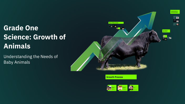 Grade One Science: Growth of Animals by Malak Kaafarani on Prezi