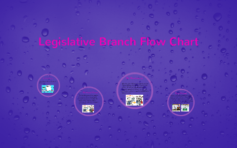 Legislative Branch Flow Chart by teaynah strickland on Prezi