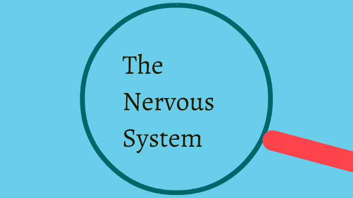 The Nervous System by jake hubbard on Prezi