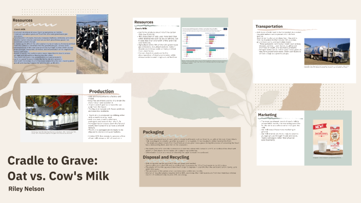 Oat vs. Cow's Milk by Riley Nelson on Prezi