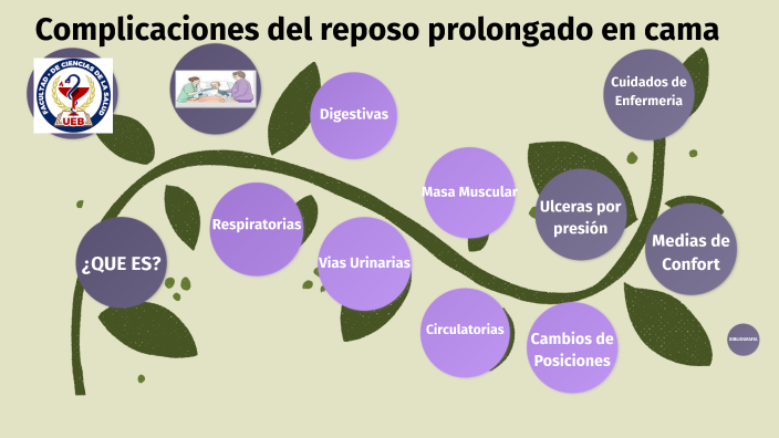 Complicaciones del reposo prolongado en cama by Pamela Estefania ...