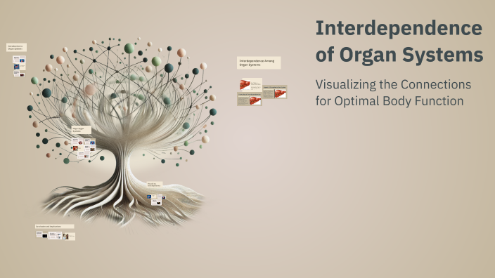Interdependence of Organ Systems by Noria Palangyos on Prezi