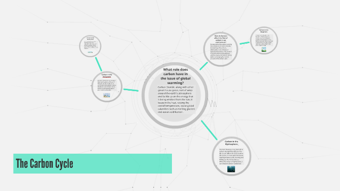 The Carbon Cycle by Nathan Serrano on Prezi