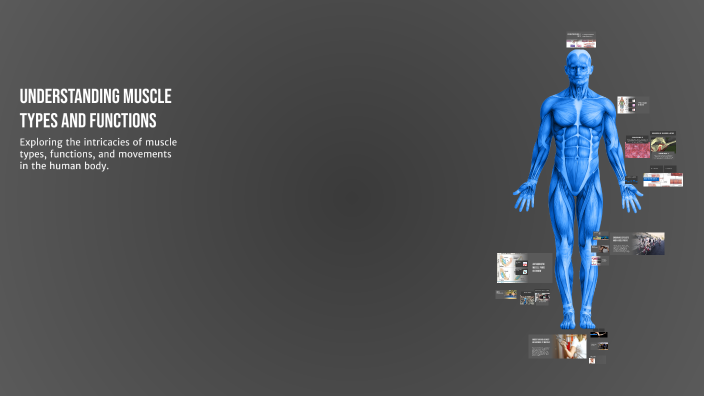Understanding Muscle Types and Functions by Carl Morgan on Prezi