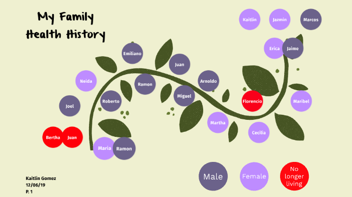 My Health Family Tree by Kaitlin Gomez on Prezi