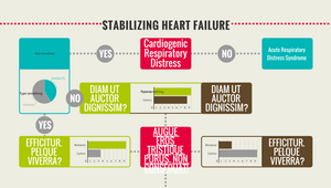 CHF Flow Chart by Lea Hudson on Prezi Design
