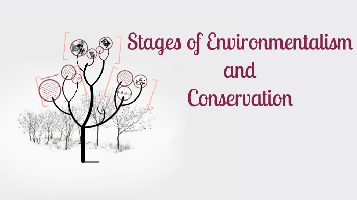 Stages of Environmentalism and Conservation by Carla Mae Temporosa on Prezi