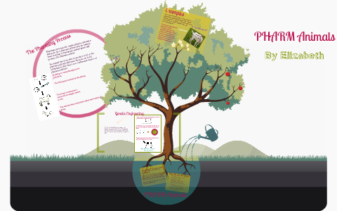 PHARM Animals by Elizabeth Roberts on Prezi
