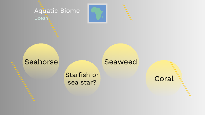 Aquatic Shoebox Biome Project by Kaitlyn Orozco on Prezi