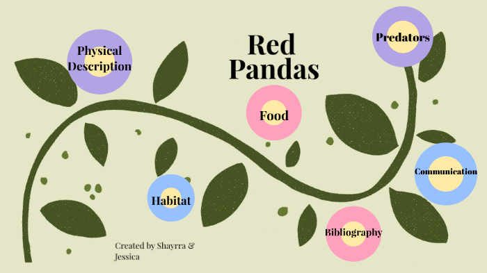 Red Panda Presentation by jess jp on Prezi