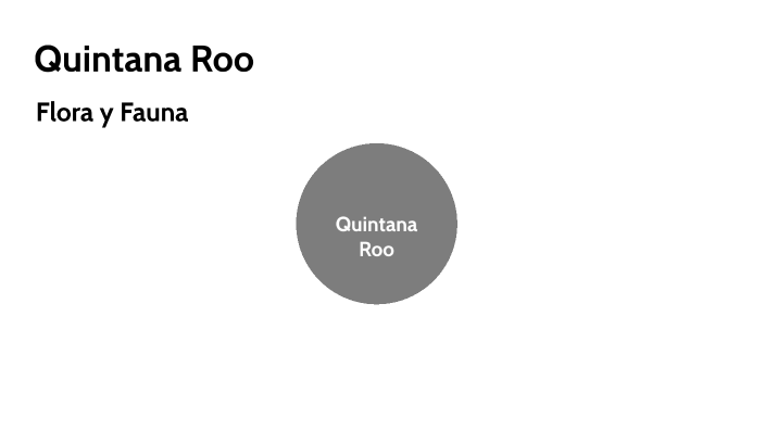 Flora y Fauna de Quintana Roo by Matías Concepción Rodríguez on Prezi