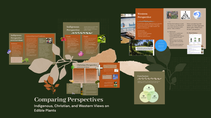 Comparative Perspectives by Charlotte Smith on Prezi