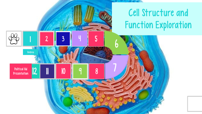 PBL: Cell Structure & Function by Jillian Vangilder on Prezi
