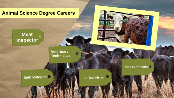 Animal Science Presentation- Timber Adams by Timber Adams on Prezi