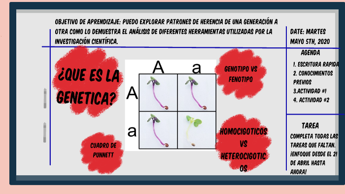 Genetica (espanol) by Massiel Gomez on Prezi