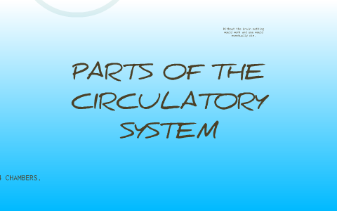PARTS OF THE CIRCLATORY SYSTEM LILLIAN by Leigh Talley on Prezi