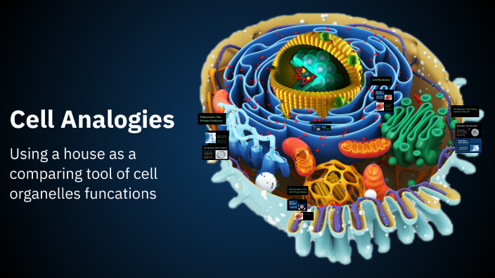 Cell Analogies by Calum Andersen on Prezi