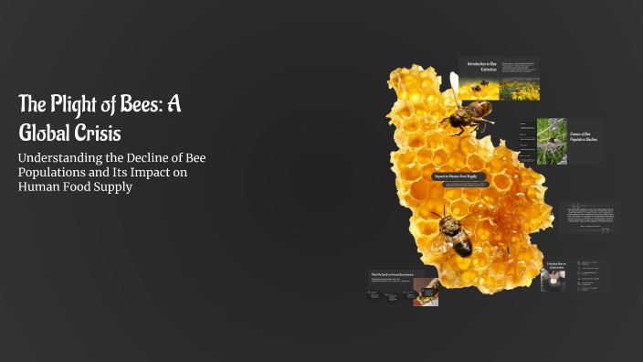 The Plight of Bees: A Global Crisis by Mariam Khan on Prezi