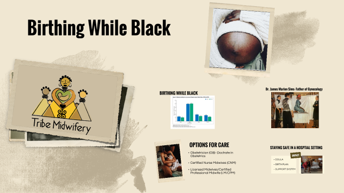 (Edited) Birth Justice: The History, Realities, and Rights of Black ...
