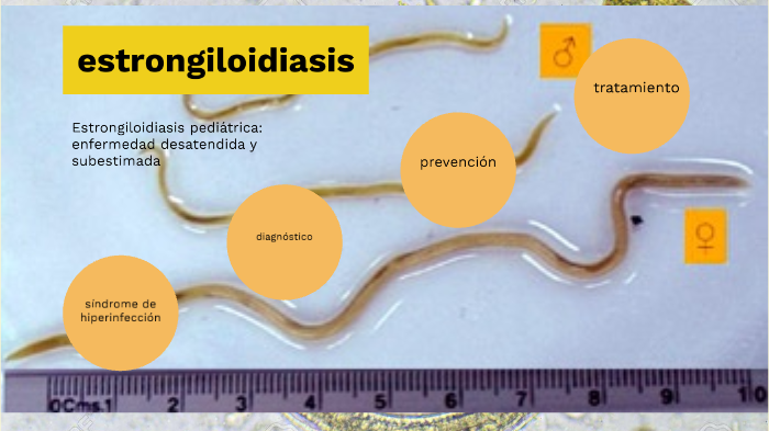 Estrongiloidiasis pediátrica: enfermedad desatendida y subestimada by ...