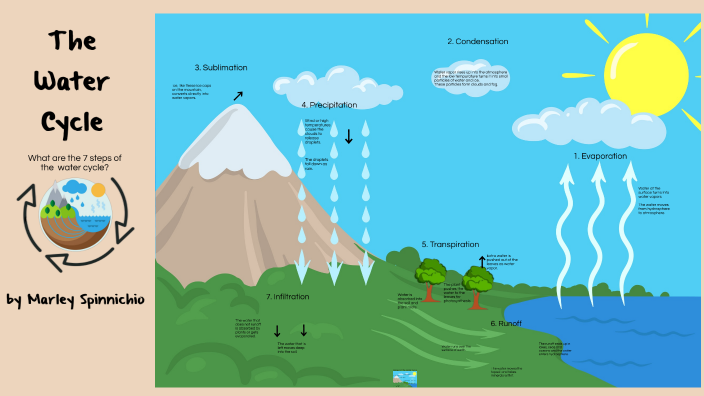 The Water Cycle DRAFT by Marley Spinnichio on Prezi
