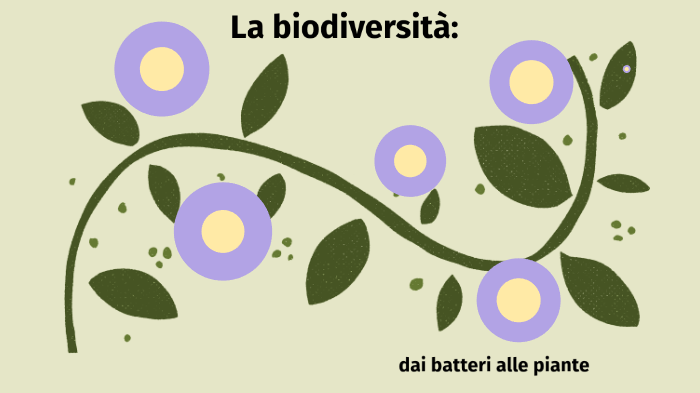 Biodiversità: batteri e piante by alepettigli_04 . on Prezi
