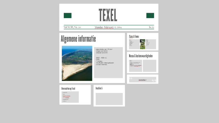 Texel by Joyce Rietveld