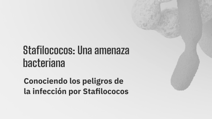 Stafilococos: Una amenaza bacteriana by Deborah Orellana on Prezi