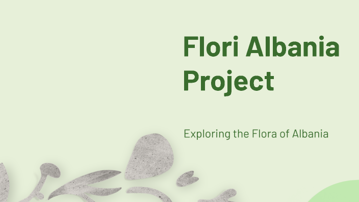 Flori Albania Project by petrit gunga on Prezi