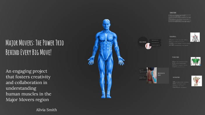 Muscle Match-Up Project: Engaging and Creative Learning by Alivia Smith ...
