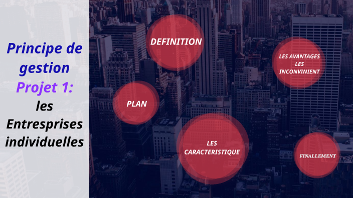 LES ENTREPRISES INDIVIDUELLES by benhadjyahya salma on Prezi