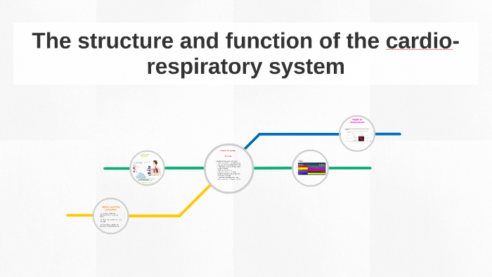 The structure and function of the cardio-respiratory system by jack ...