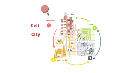 CELL CITY PROJECT by adonis baker on Prezi