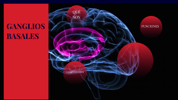 GANGLIOS BASALES by Paty Martínez on Prezi