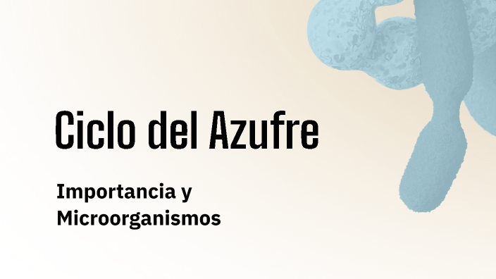 Ciclo del Azufre by JOMIRA MARCELA ROMERO MACIAS on Prezi