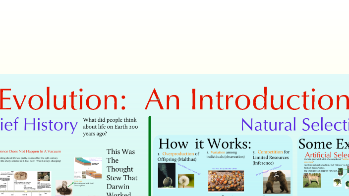 AP Bio- Evolution 1: Introduction to Evolution 2022 by rebekah ravgiala on Prezi