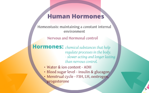 KS4 Biology: Human Hormones by Laura Sillett on Prezi